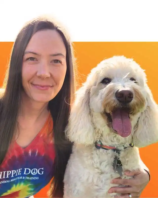 Ashley Cipolletti - Hippie Dog